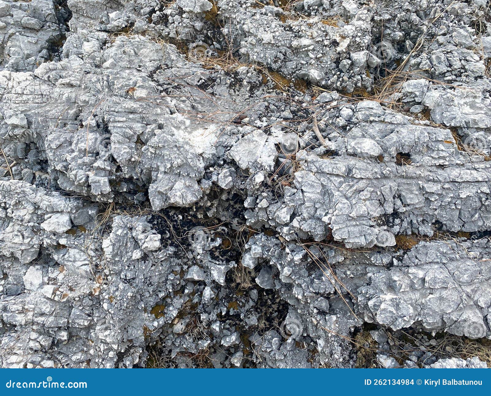 Background, Texture, Stone Natural Gray Surface Natural Sharp Convex ...