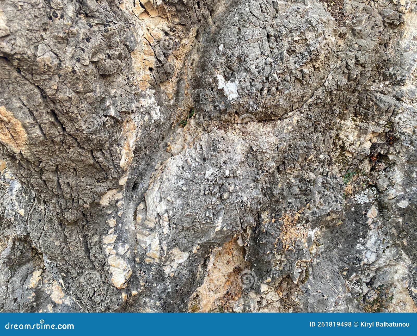 Background, Texture, Stone Natural Gray Surface Natural Sharp Convex ...