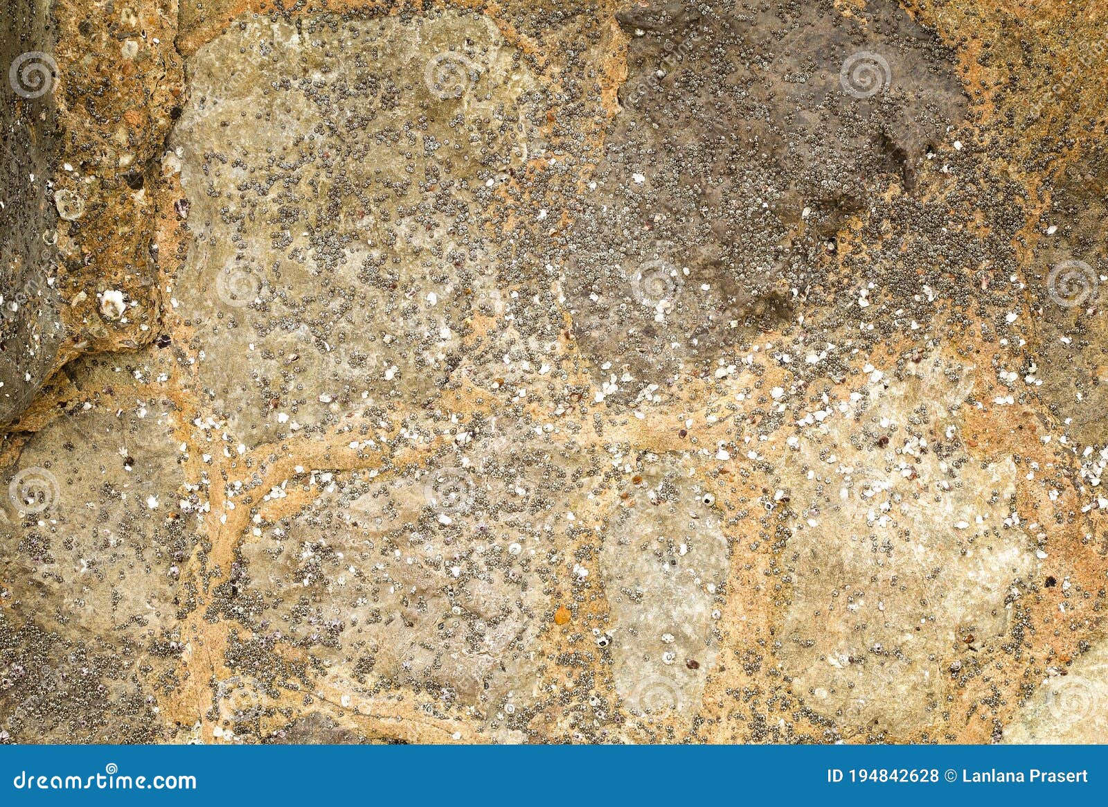 Background and Texture with Stone Sea Wall Stock Photo - Image of ...
