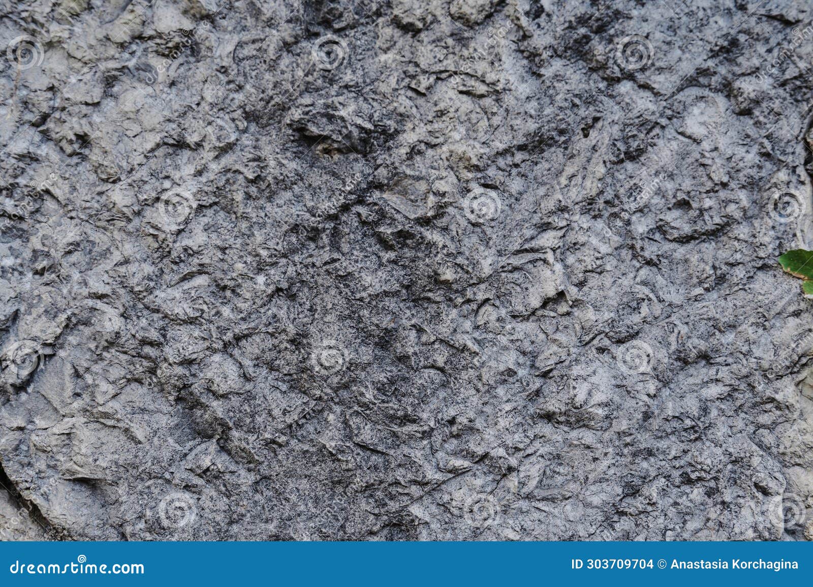 Background with the Texture of Stone, Shell Rock or Sandstone. To Close ...