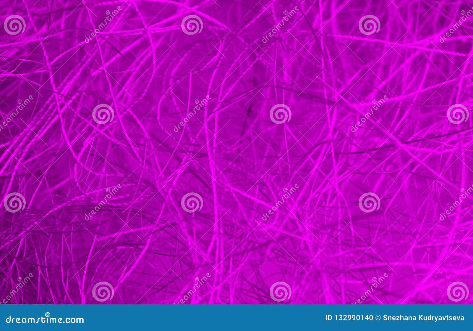 Abstract Texture. Purple Color. Lines are Located in Different ...