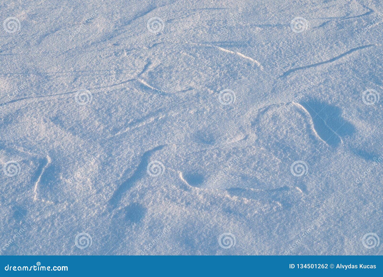 Background, Texture - Surface Covered with Fresh Soft Snow Stock Photo ...