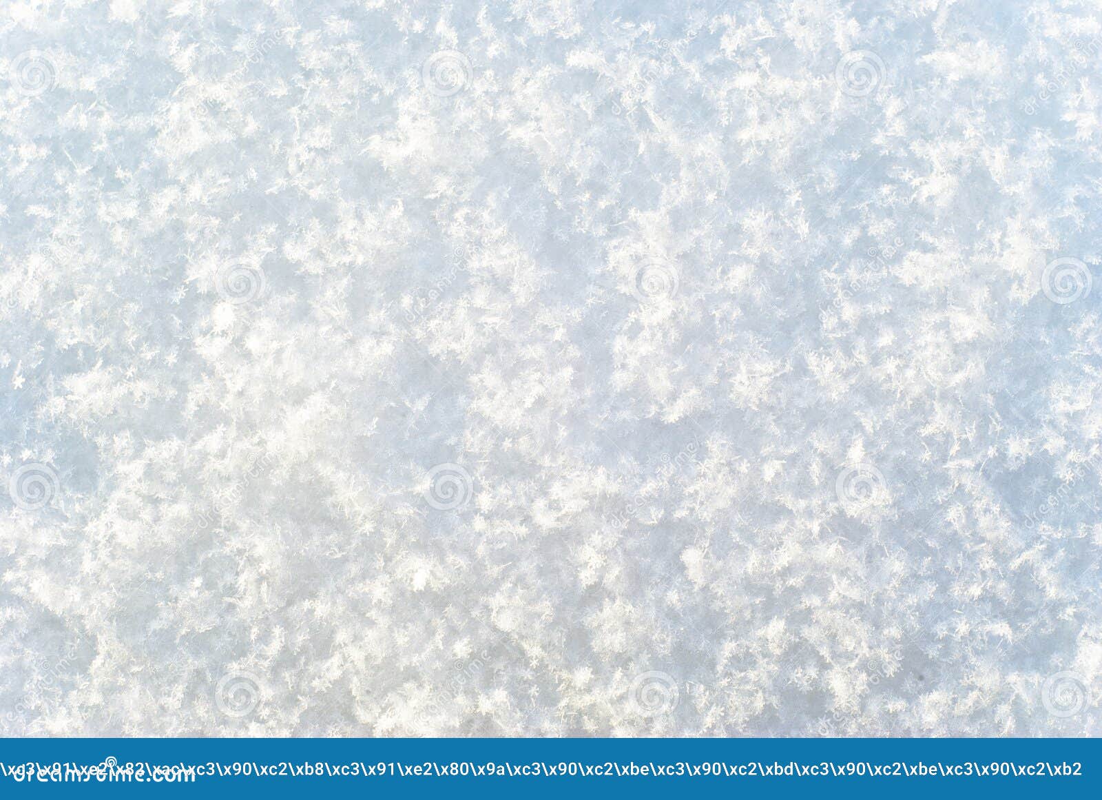 Background, Texture - Surface of Freshly Fallen Snow Stock Photo ...