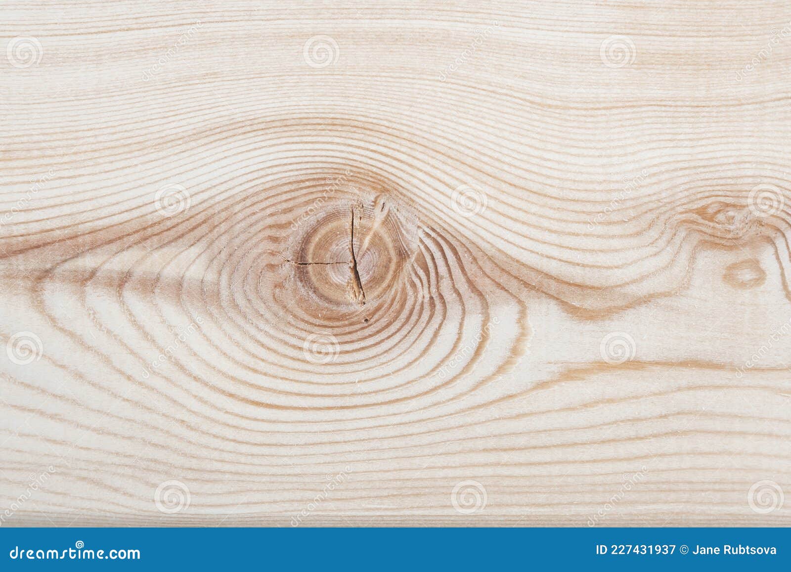 Background Texture. Surface of a Larch Edged Board with Knot on Cut ...