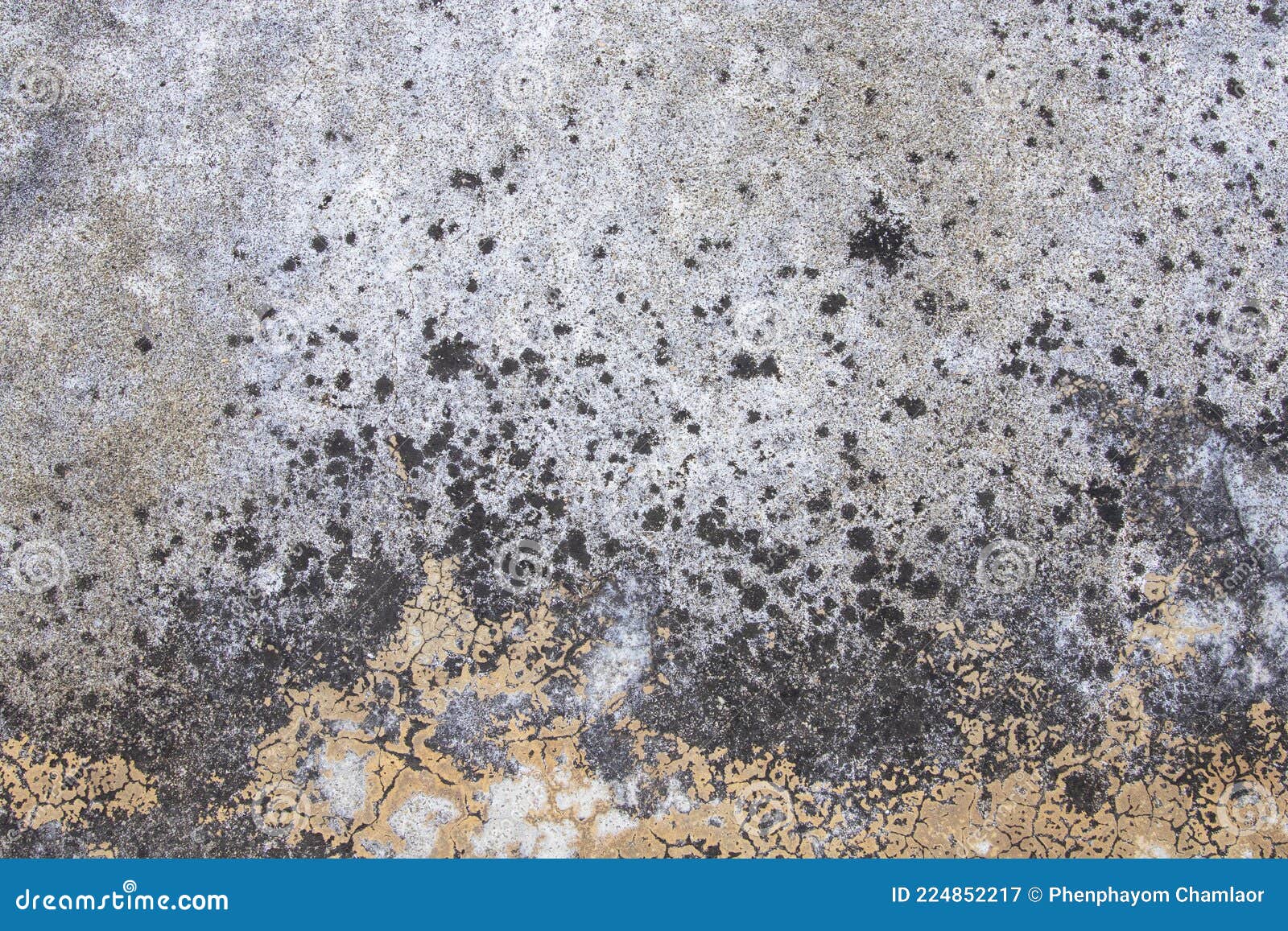 Background Texture Surface Old Cement Floors Dirty on Street Stock ...