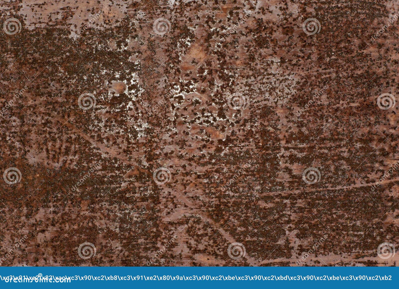 Background, Texture: Rusty Metal Sheet Stock Photo - Image of surface ...