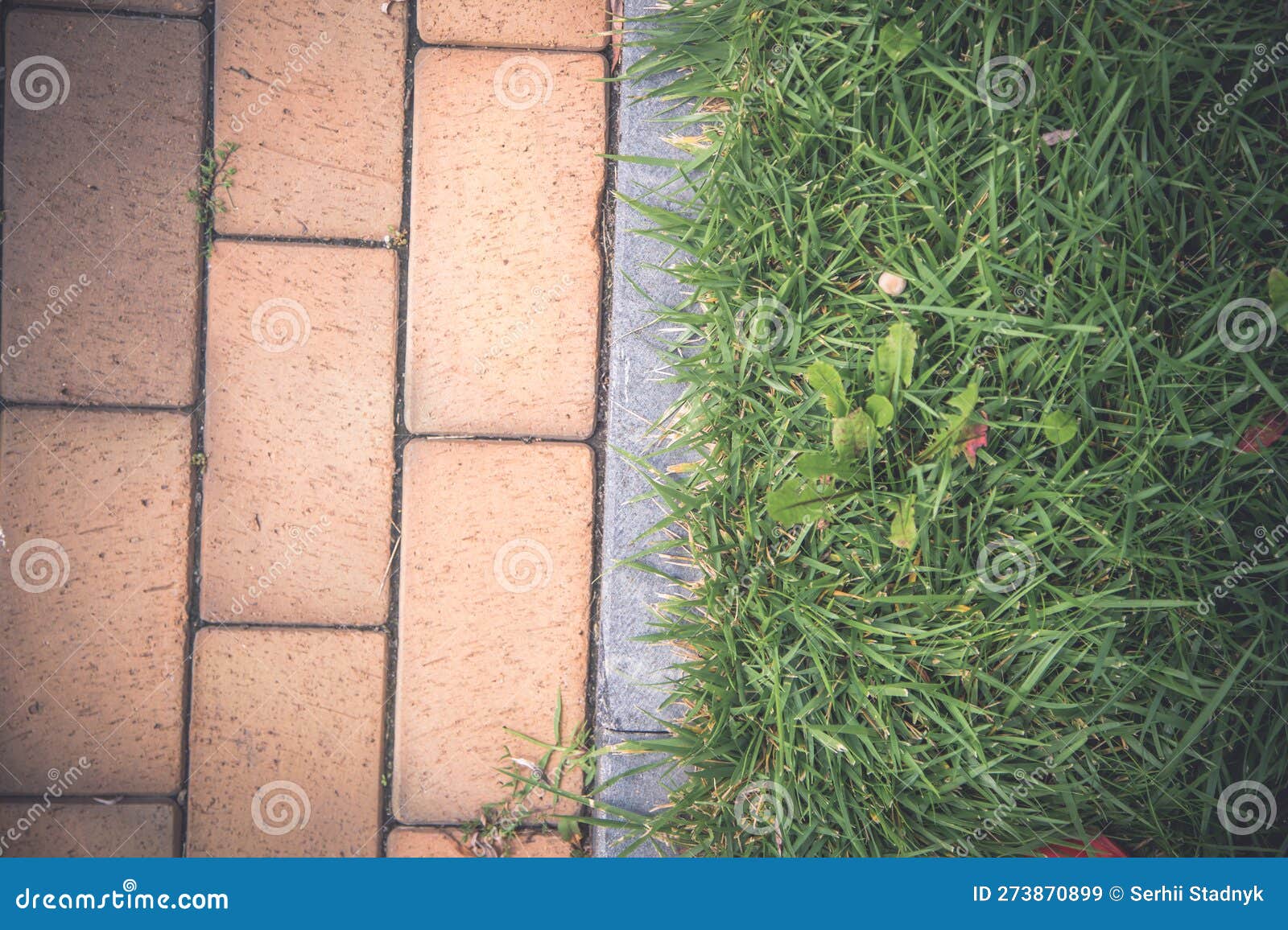 Background Texture Tile and Grass Green Stock Image - Image of ...
