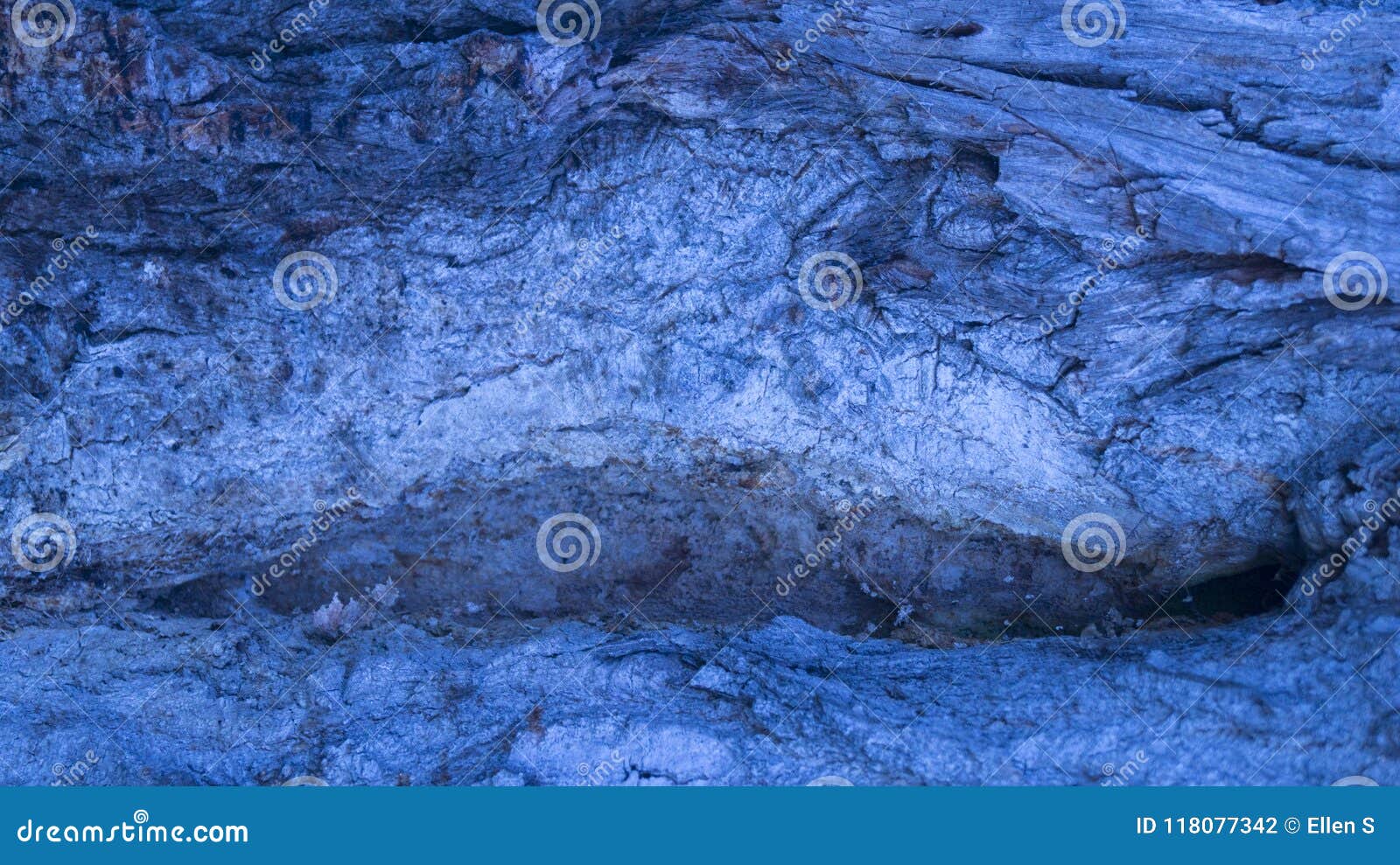 Background, Texture of Tree Bark Stock Photo - Image of wavy, bark ...