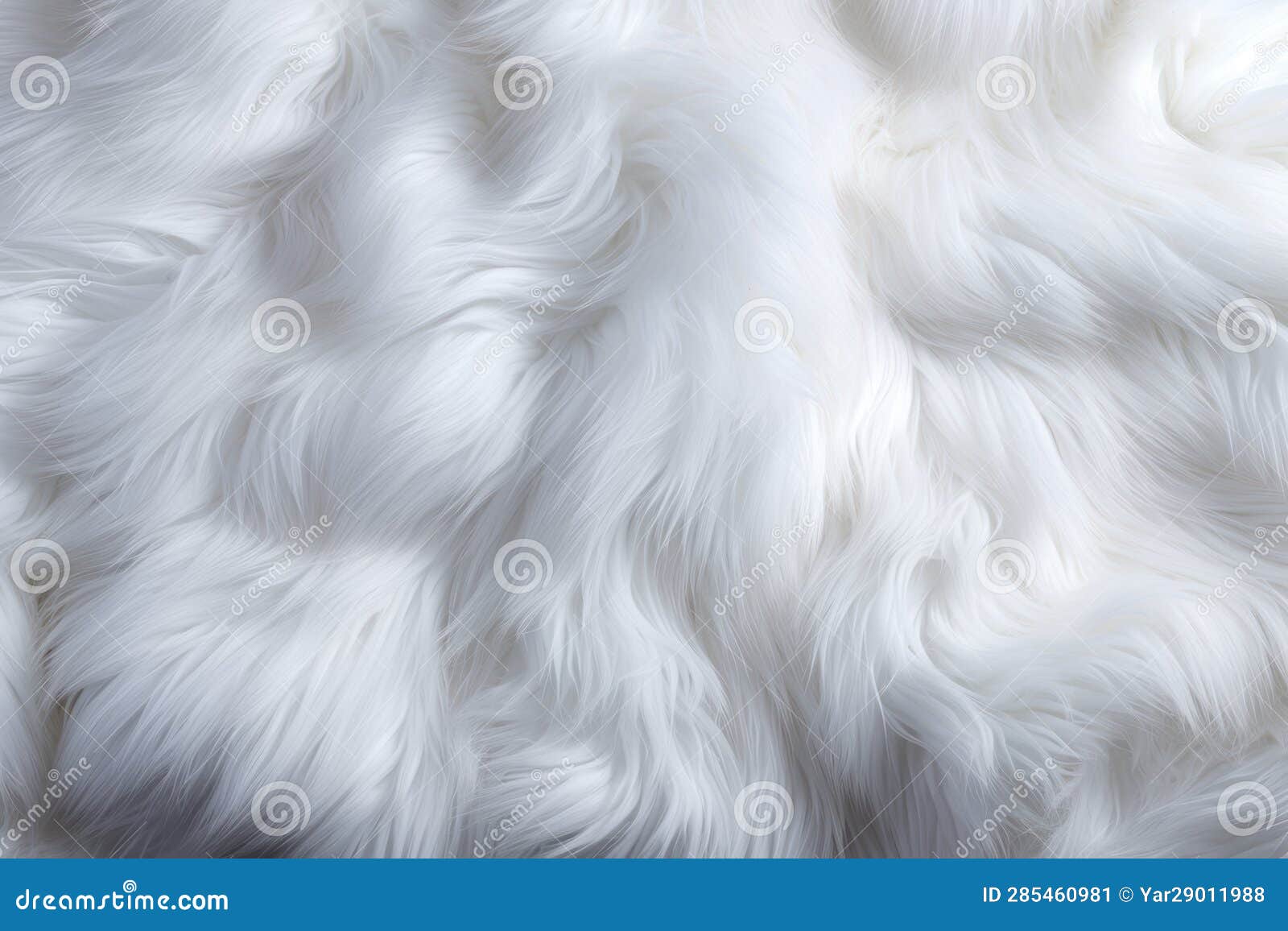 Background, Texture, White Fur, Carpet. Background for the Site ...