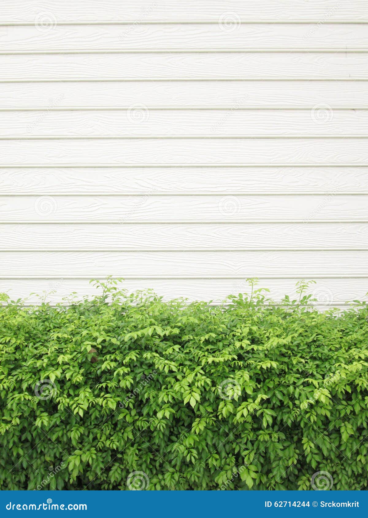 Background Texture from a White Wall with Parallel Horizontal Lines and ...