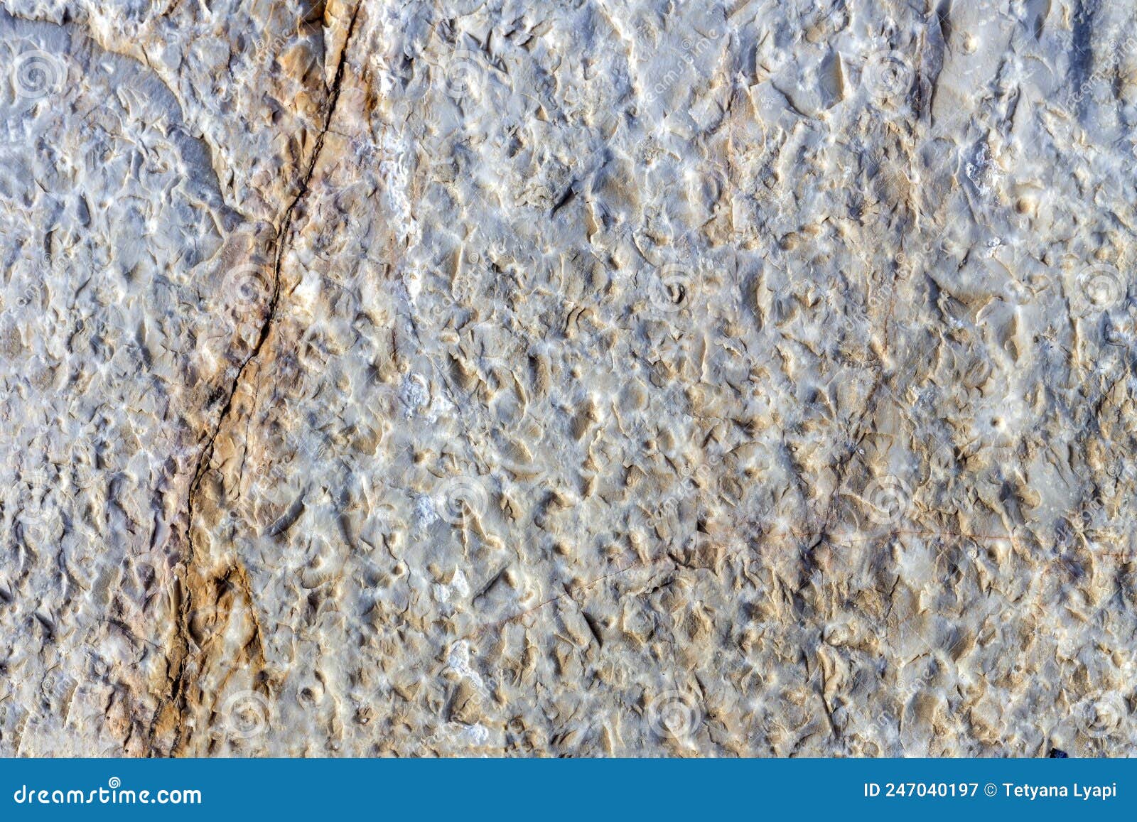 Texture Wild, Marble, Natural, Stone Background Close-up Stock Image ...