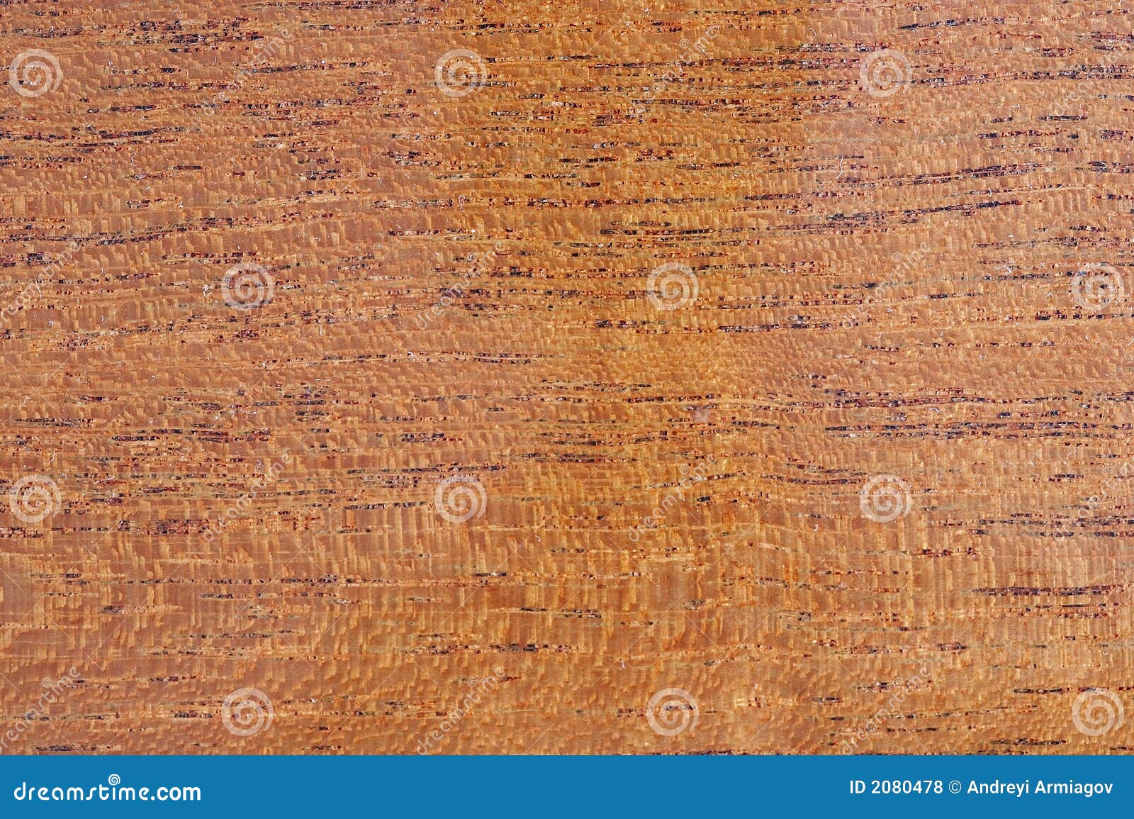 1,794 Varnished Tree Stock Photos - Free & Royalty-Free Stock Photos ...