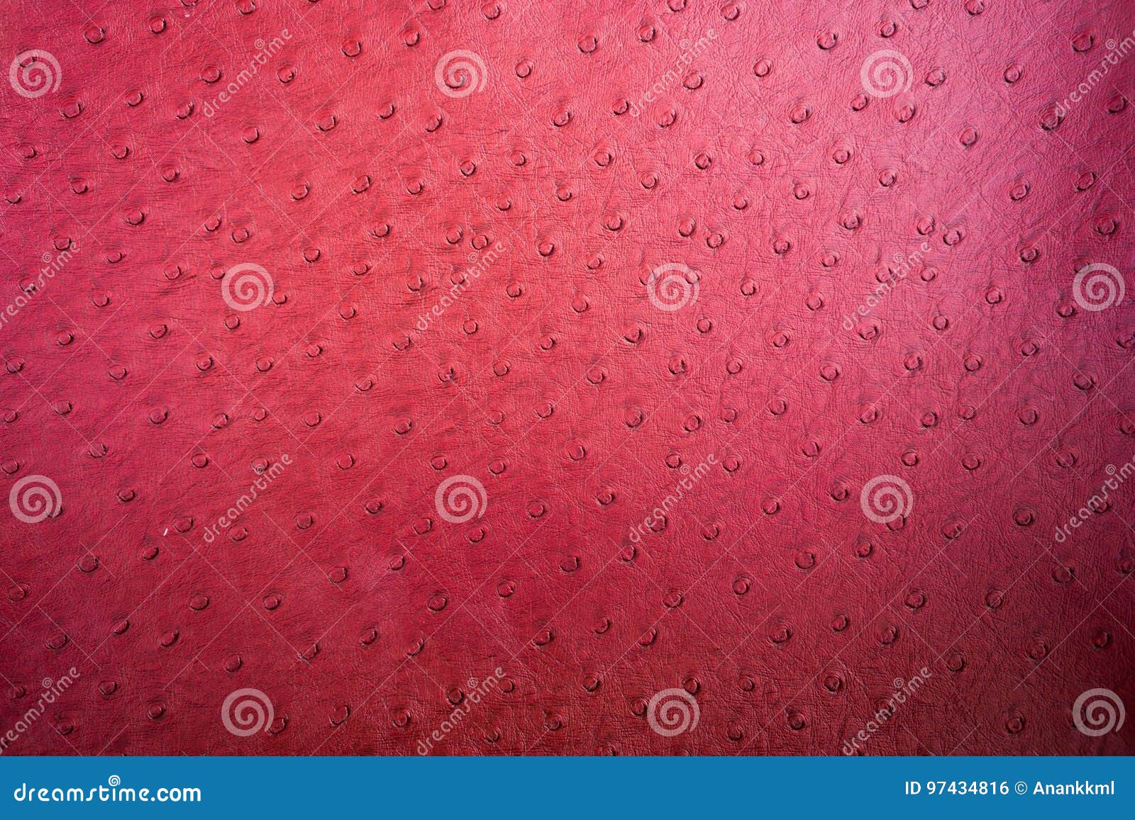 Background Textured of Ostrich Leather Stock Photo - Image of surface ...