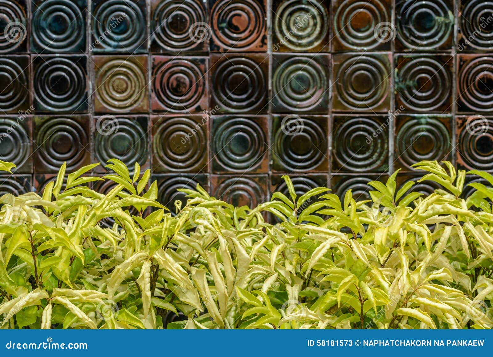 Background of Textured Tiles and Green Plant Stock Image - Image of ...
