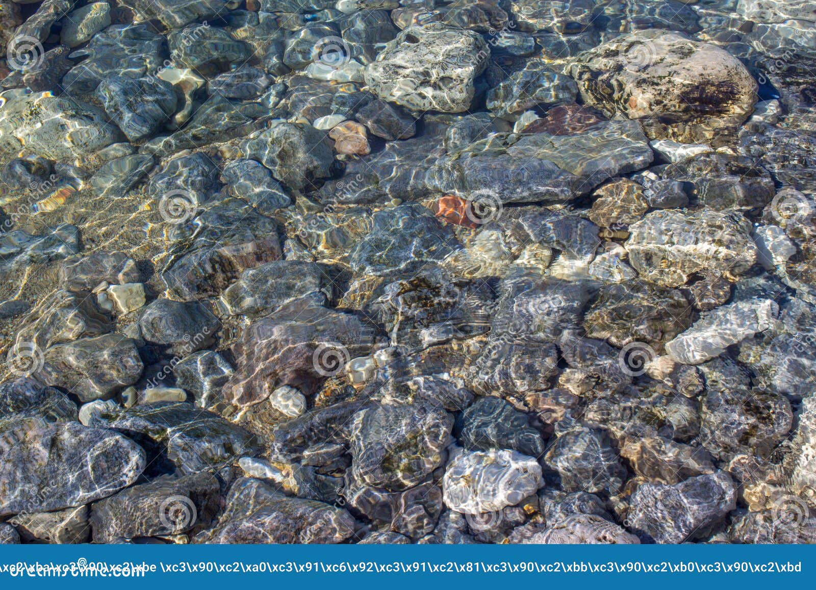 Background and Textures Sea Stones in the Sun Under Water Stock Photo ...