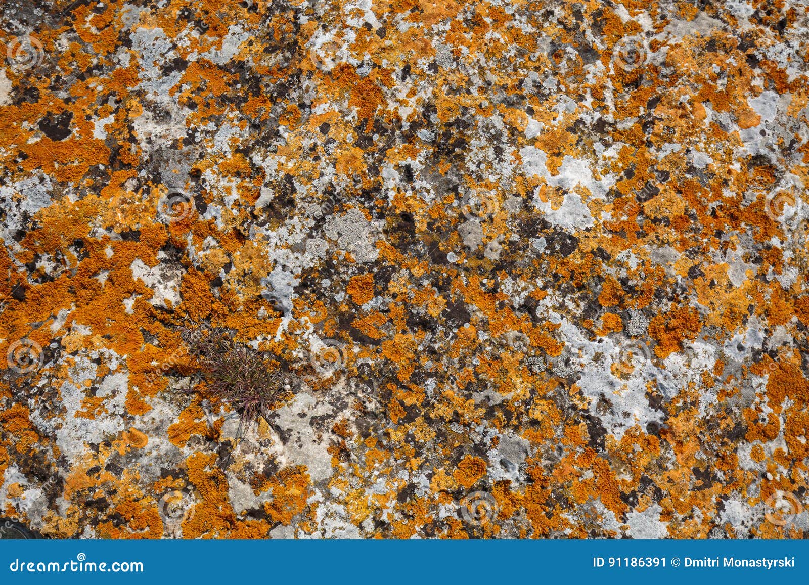 Background Textures. Stone Texture Close-up with Colorful Spots Stock ...