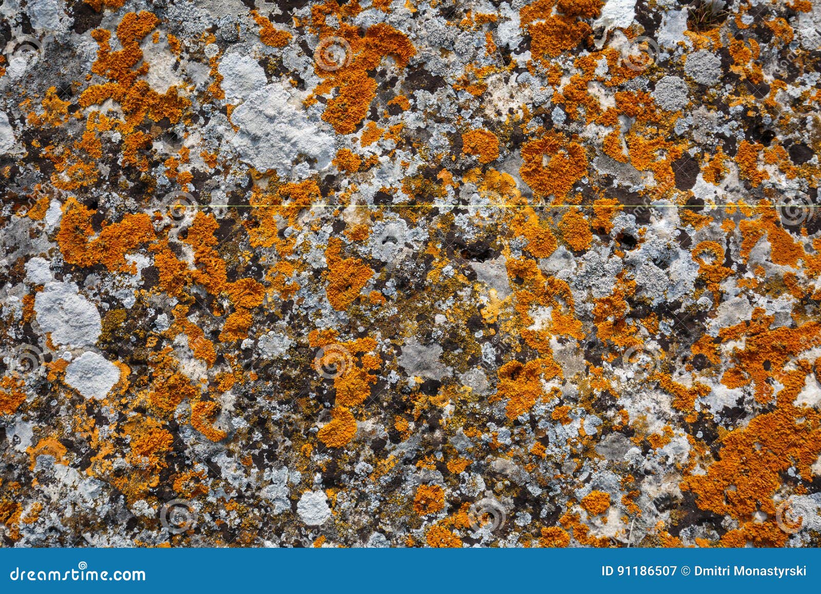 Background Textures. Stone Texture Close-up with Colorful Spots Stock ...