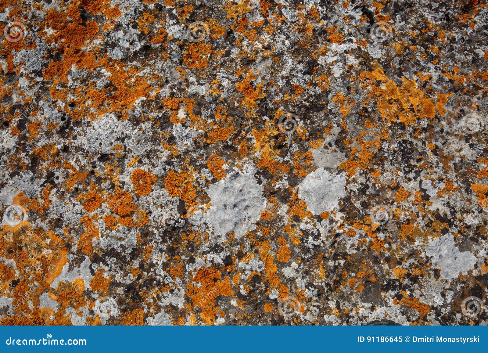 Background Textures. Stone Texture Close-up with Colorful Spots Stock ...