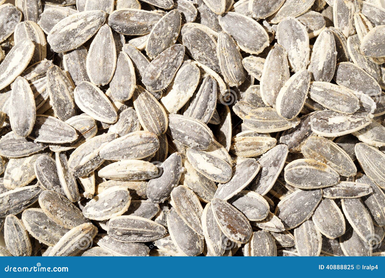 Background Textures Sunflower Stock Image | CartoonDealer.com #40888825