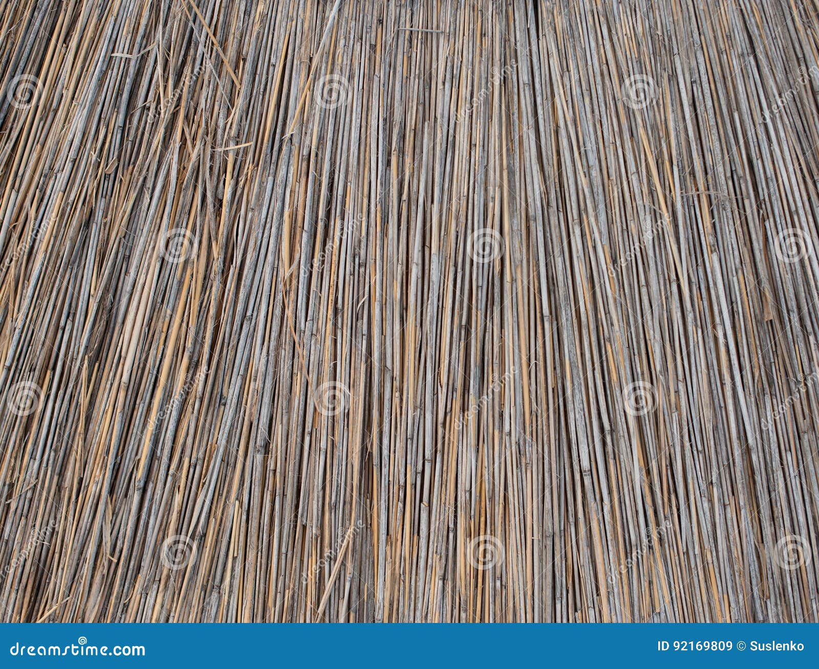 Background of Thatched Roof, Dry Grass or Hay. Texture of Dried Grass ...