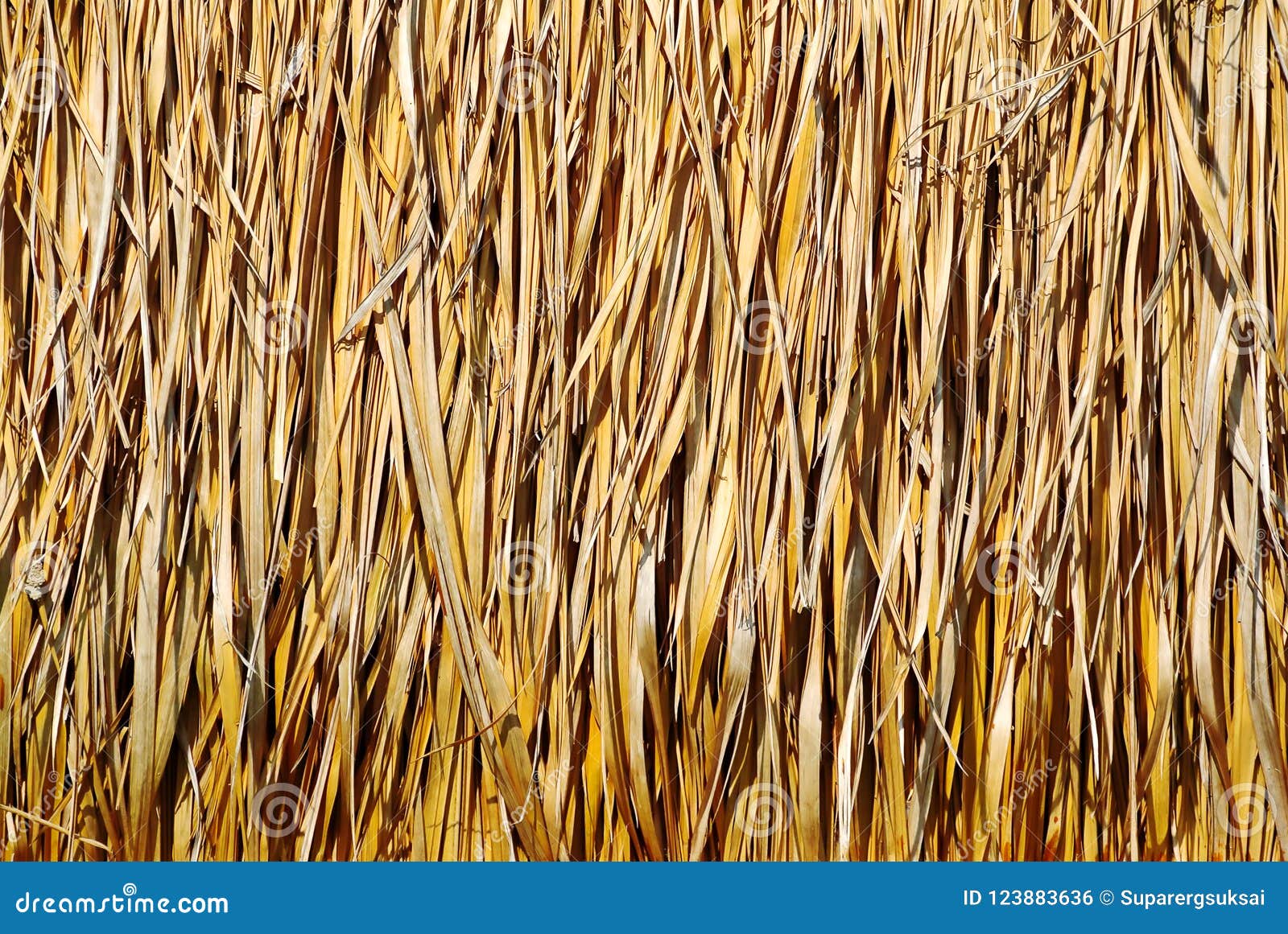 Background of Thatched Roof Texture Stock Photo - Image of straw, brown ...