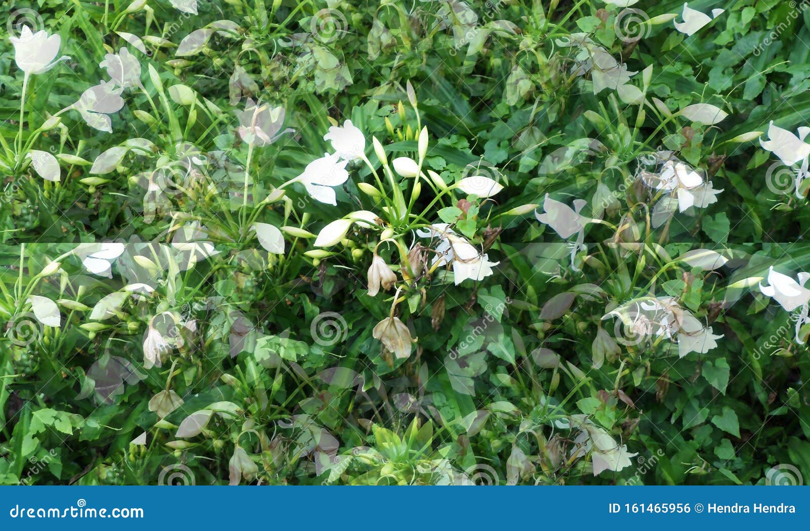 Green Abstract Nature Background Twirl Blur Technique Stock Photo ...
