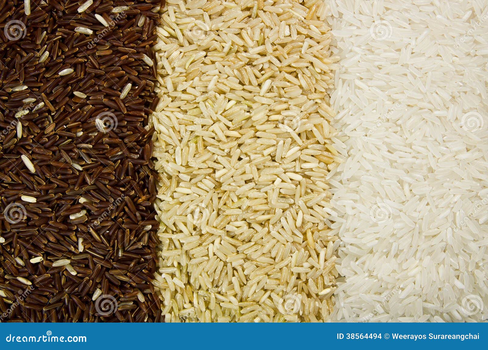 Background Three Rice Varieties Stock Photo - Image of cereal, organic ...