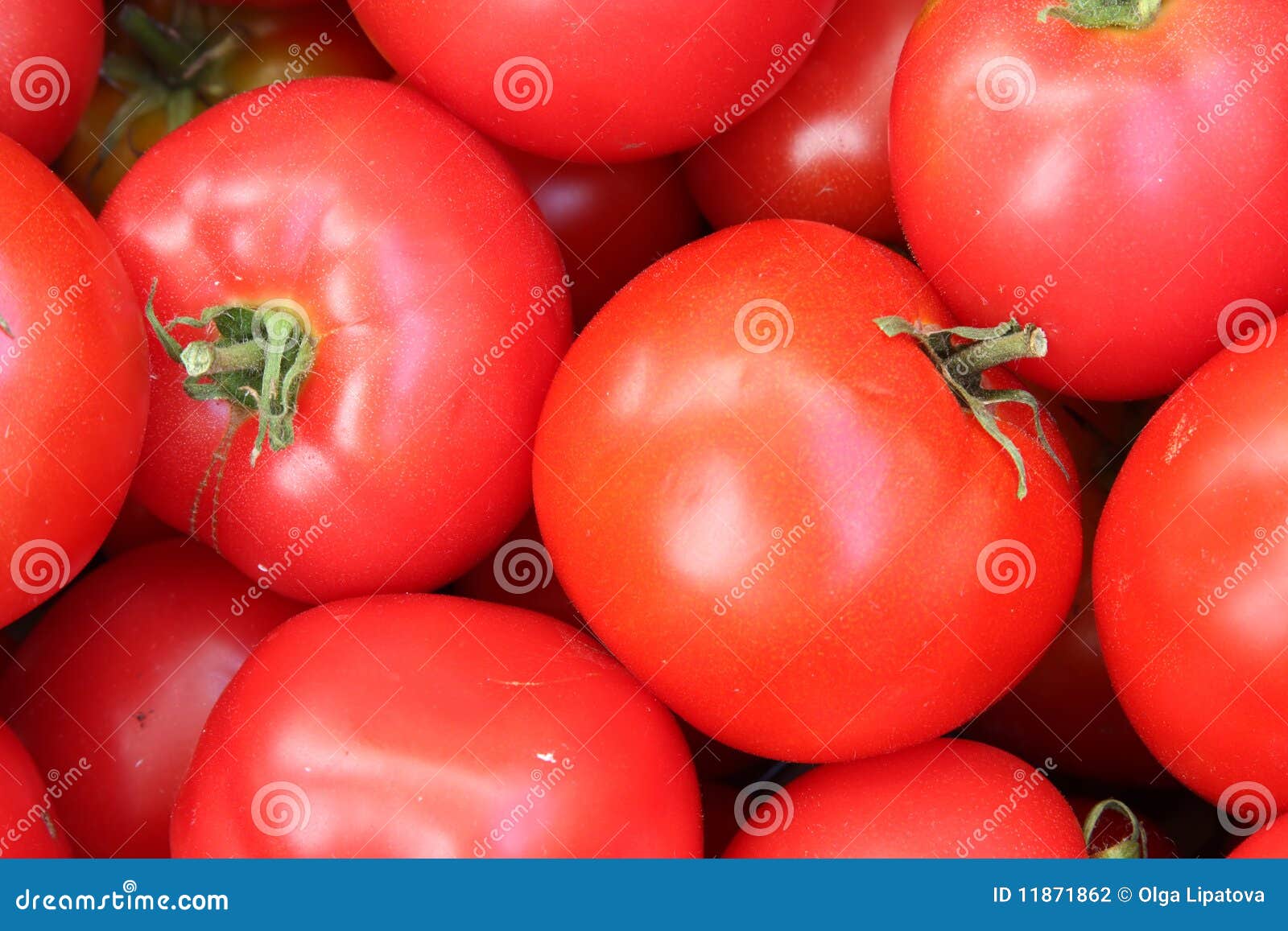 Background of Tomato. Close-up Stock Photo - Image of color, ingredient ...