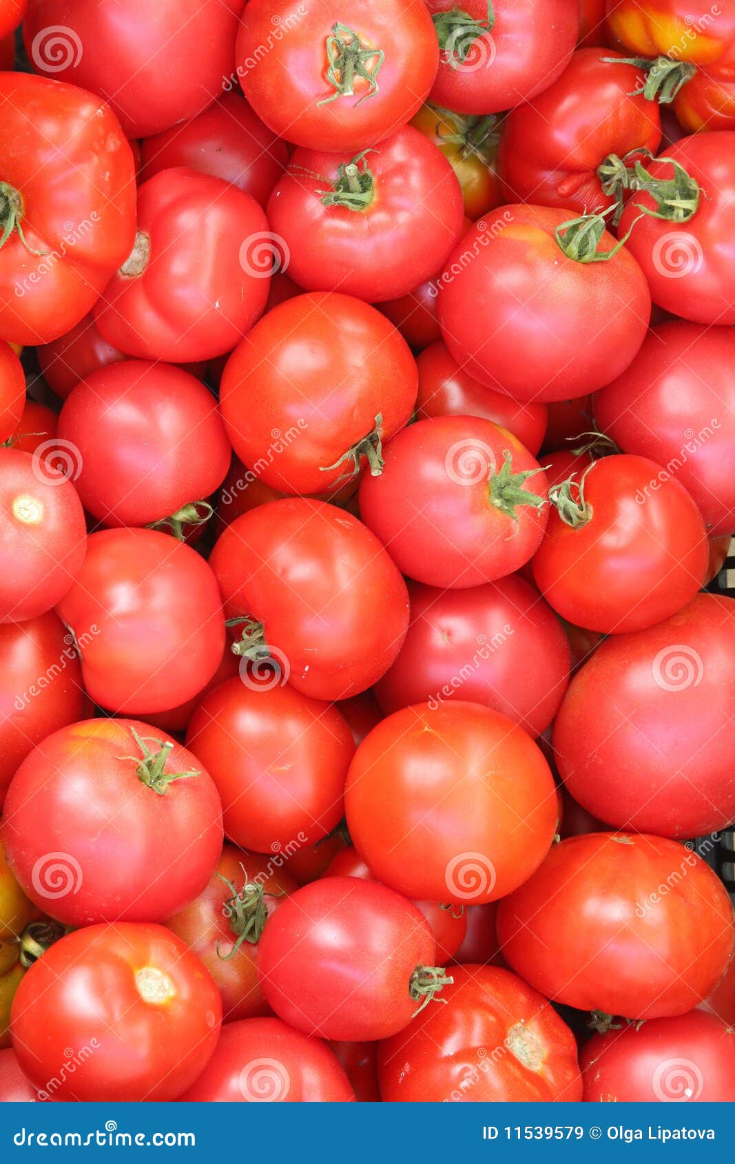 Background of tomatoes stock image. Image of harvesting - 11539579