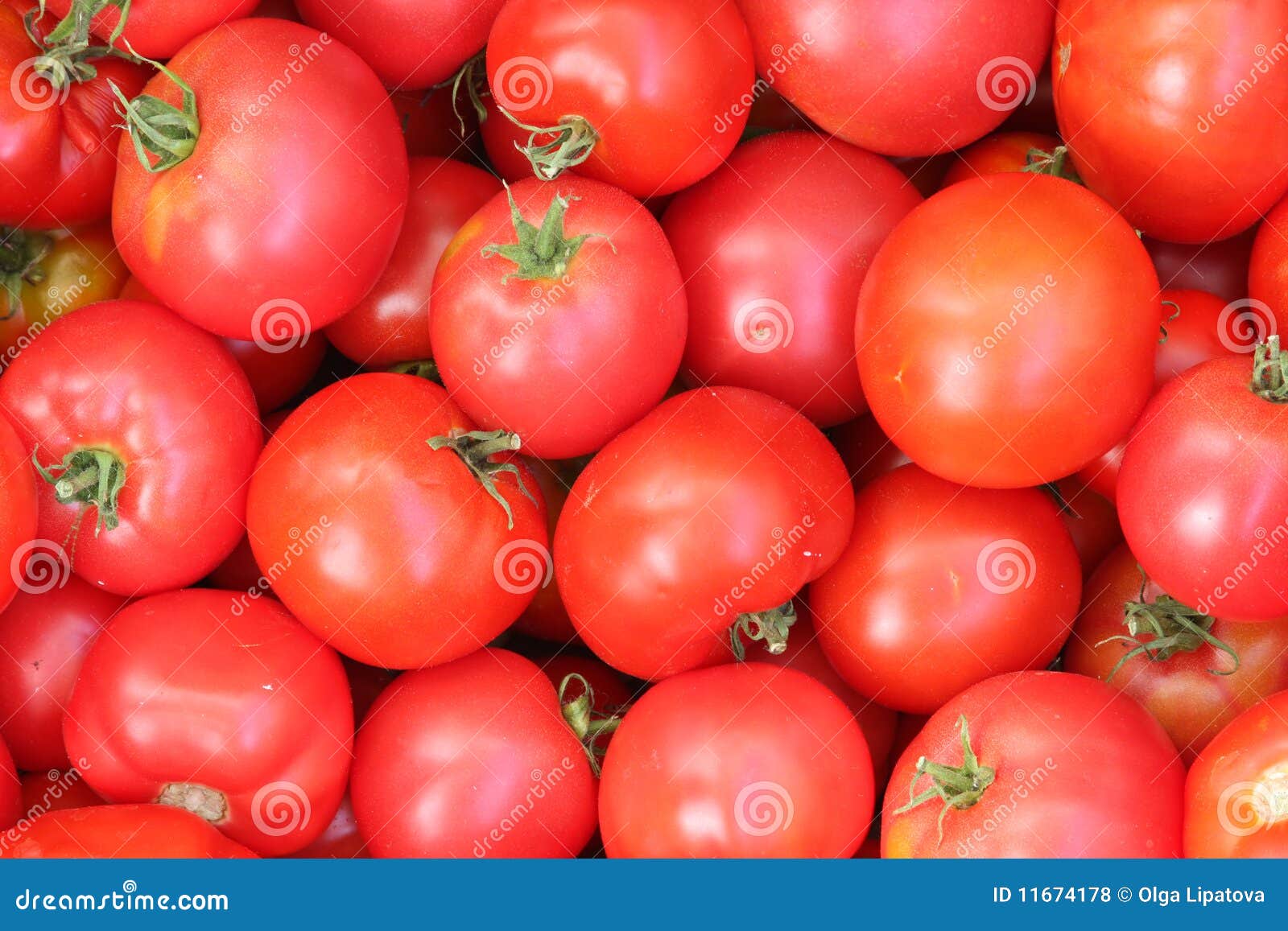 Background of tomatoes stock photo. Image of agriculture - 11674178