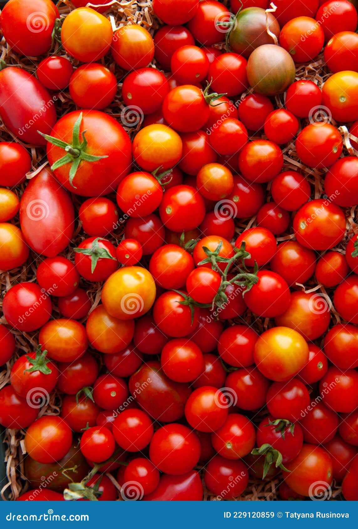 Background of Tomatoes. Texture of Fresh Organic Tomatoes Stock Image ...