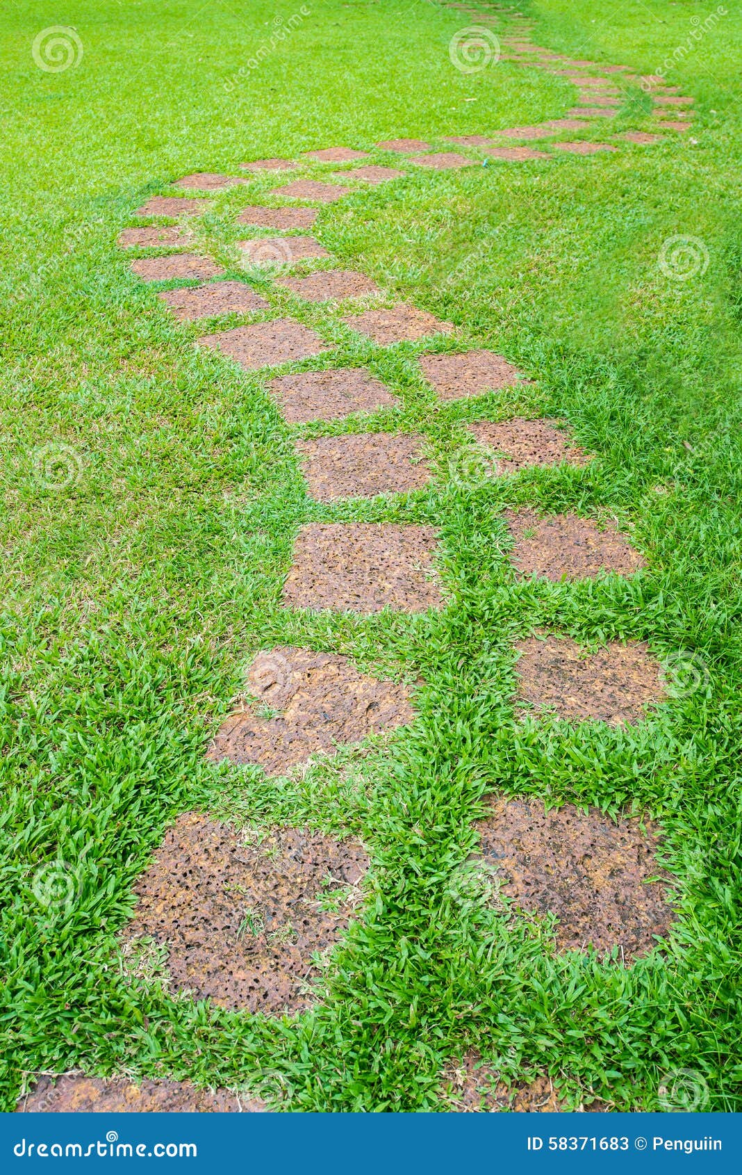 Background Tract on the Lawn of the Park Stock Image - Image of outside ...