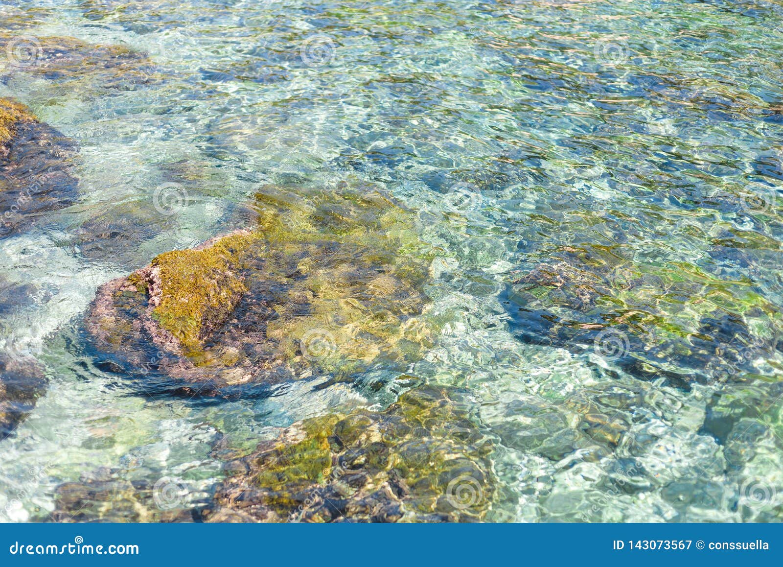 Background of Transparent Sea Water and Bottom, with Stones and Waves ...
