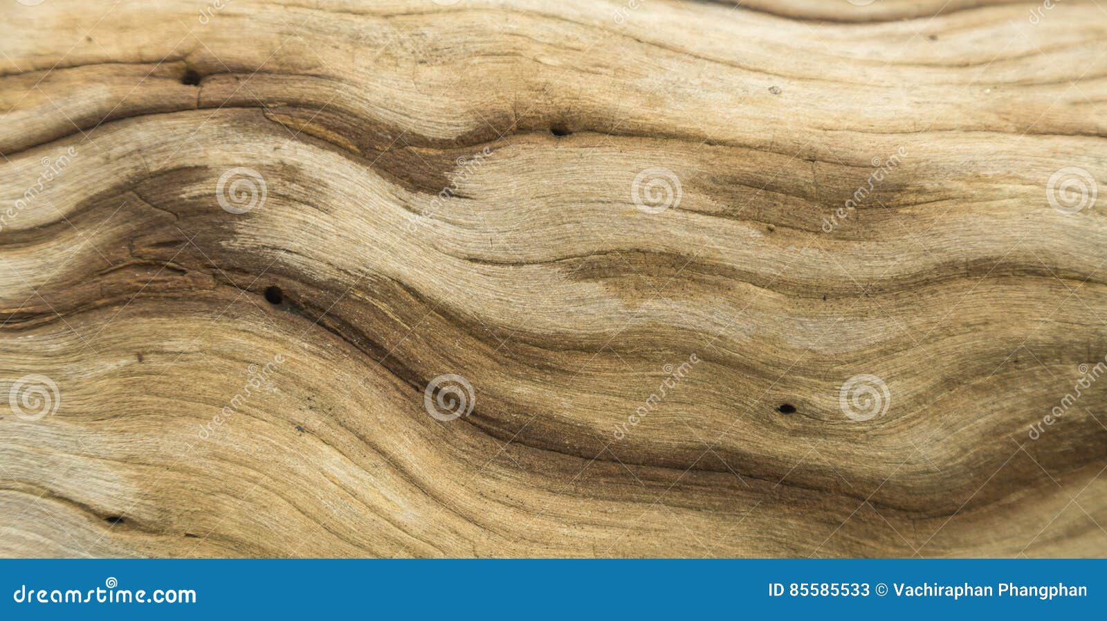 Background striped bark stock image. Image of nature - 85585533