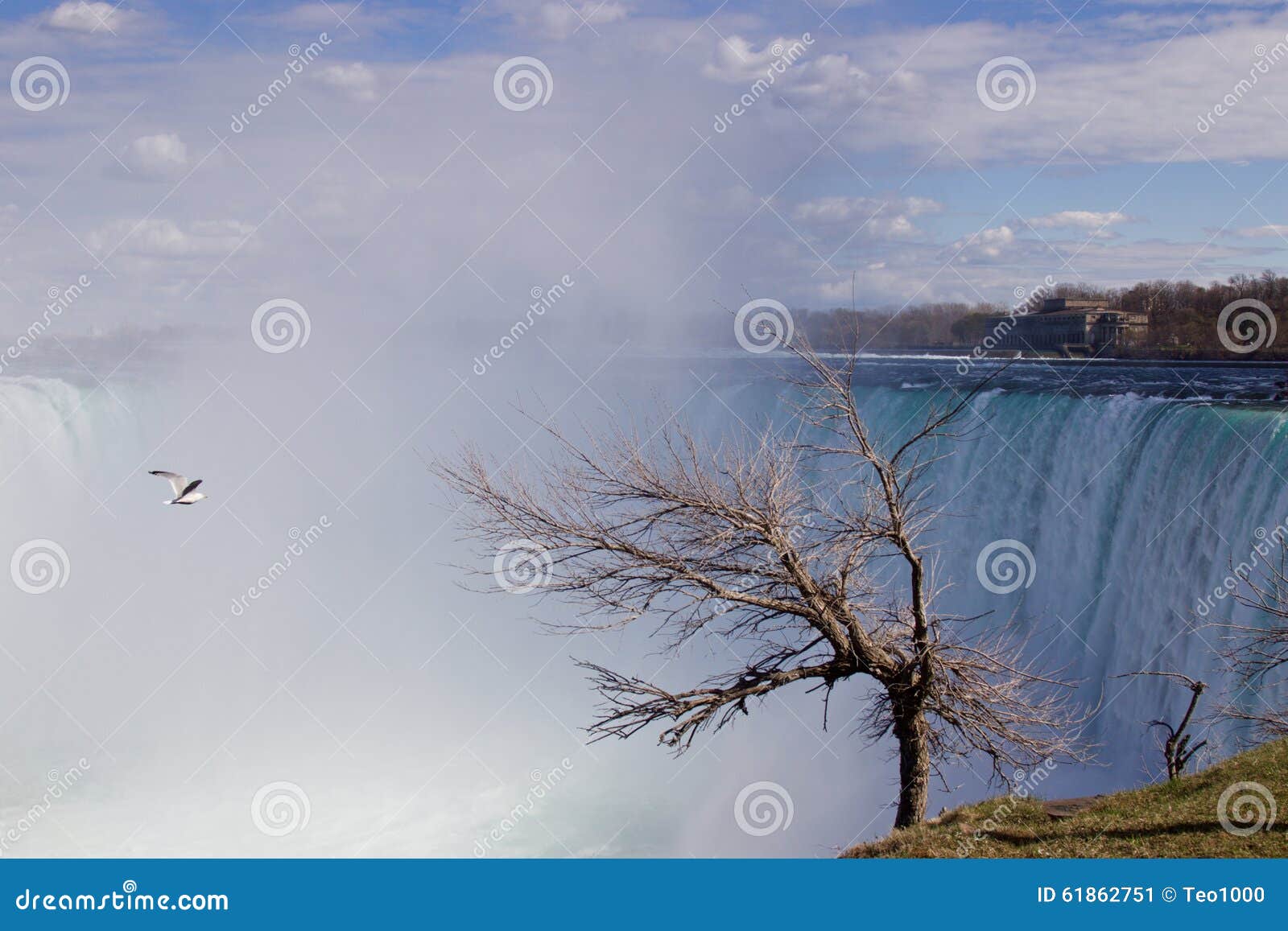 Background with a Tree, Gull and the Niagara Stock Image - Image of ...