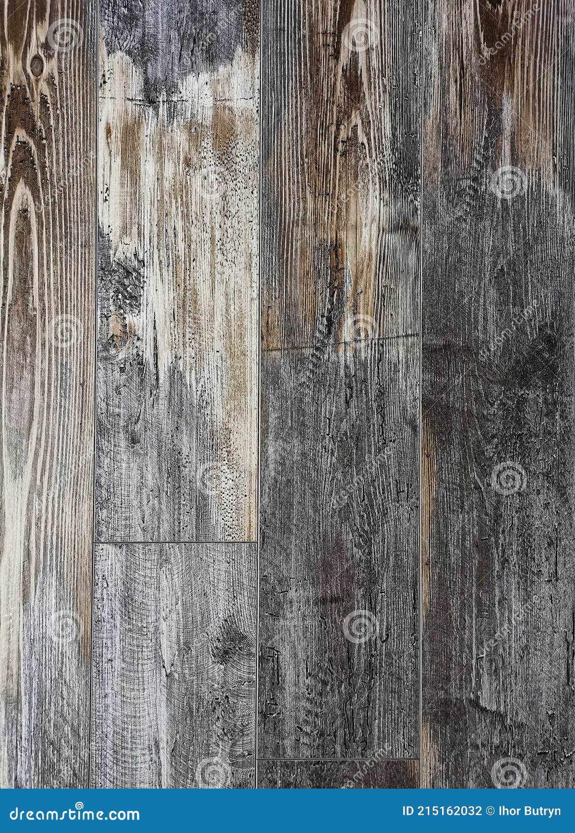 Background with a Tree Structure in Dark Gray with Shades of Brown ...