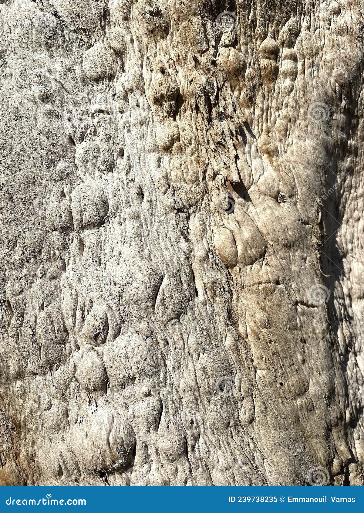 Background of a Tree Wth Textures of Shapes Like Rocks Stock Image ...