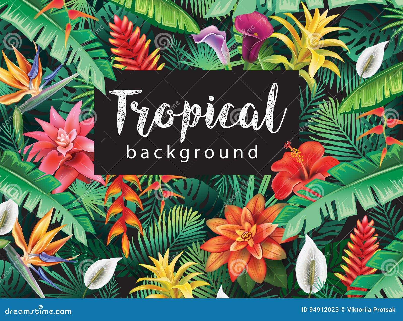 Background from Tropical Flowers Stock Vector - Illustration of florist ...