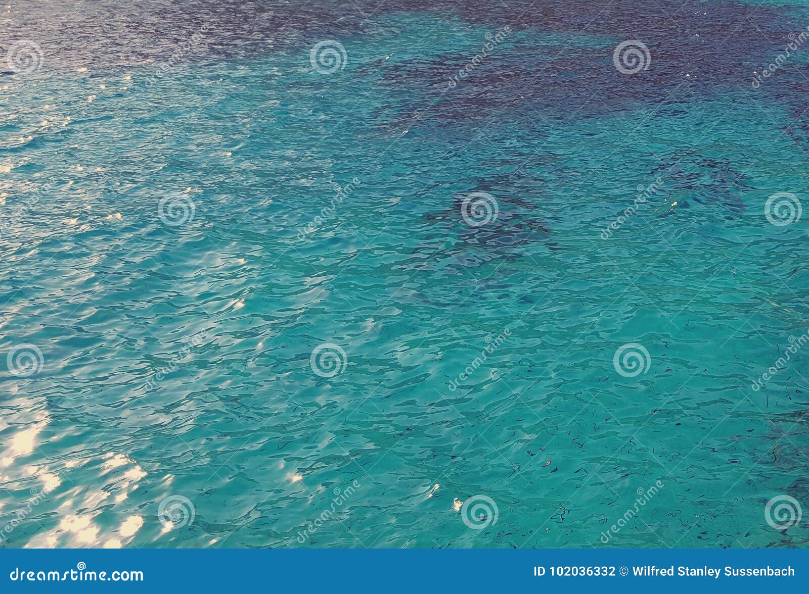 Tropical water stock photo. Image of water, fluid, aqua - 102036332