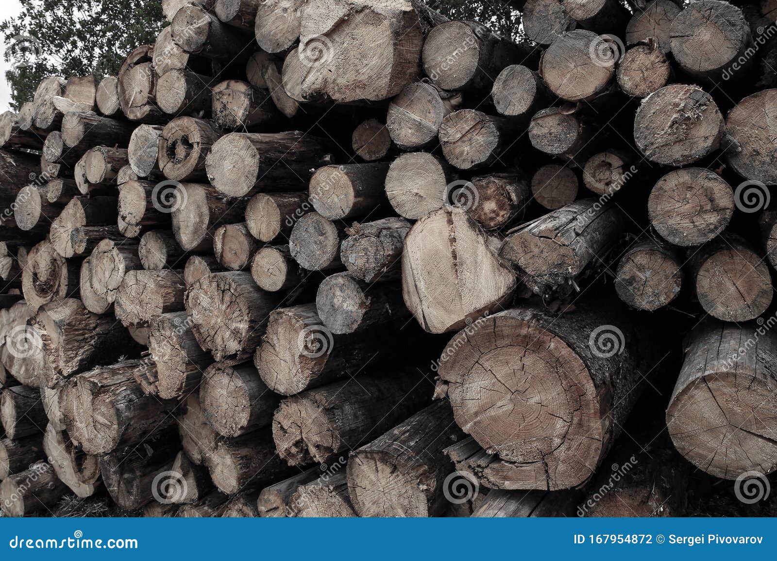 Background Trunks End Log Tall Pile Pattern Old Weathered Cracked ...