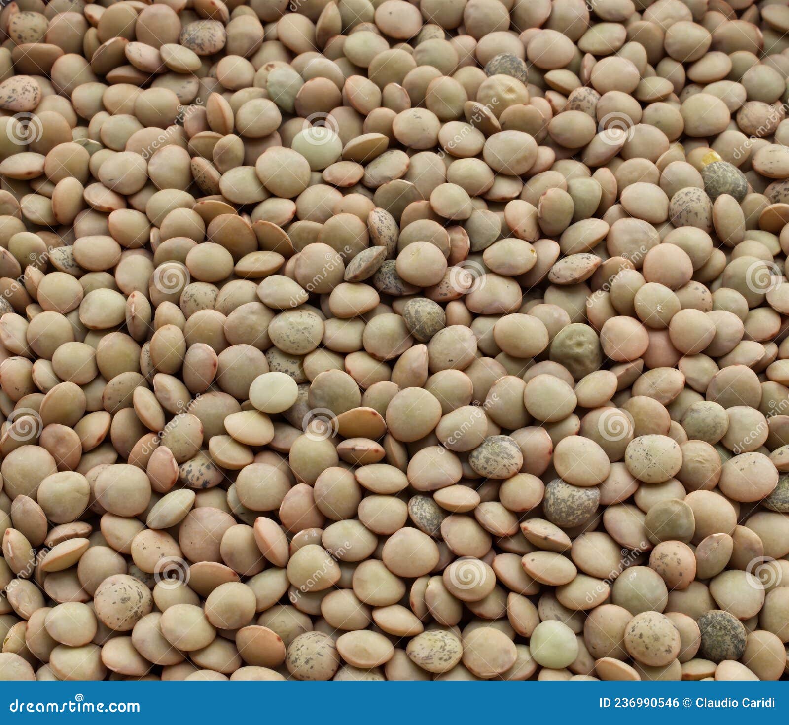 Background of Uncooked Lentils View from the Top Stock Photo - Image of ...