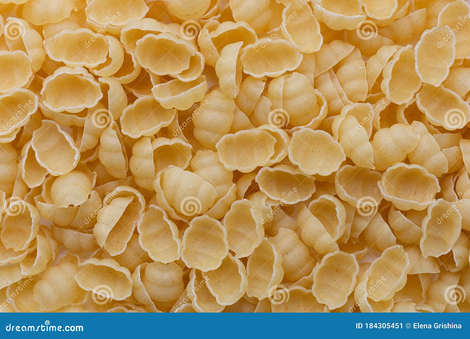 Background of Uncooked Pasta Conchiglie. Dry Pasta in the Shape of ...