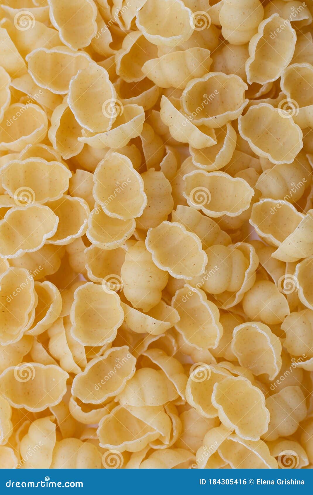 Background of Uncooked Pasta Conchiglie. Dry Pasta in the Shape of ...
