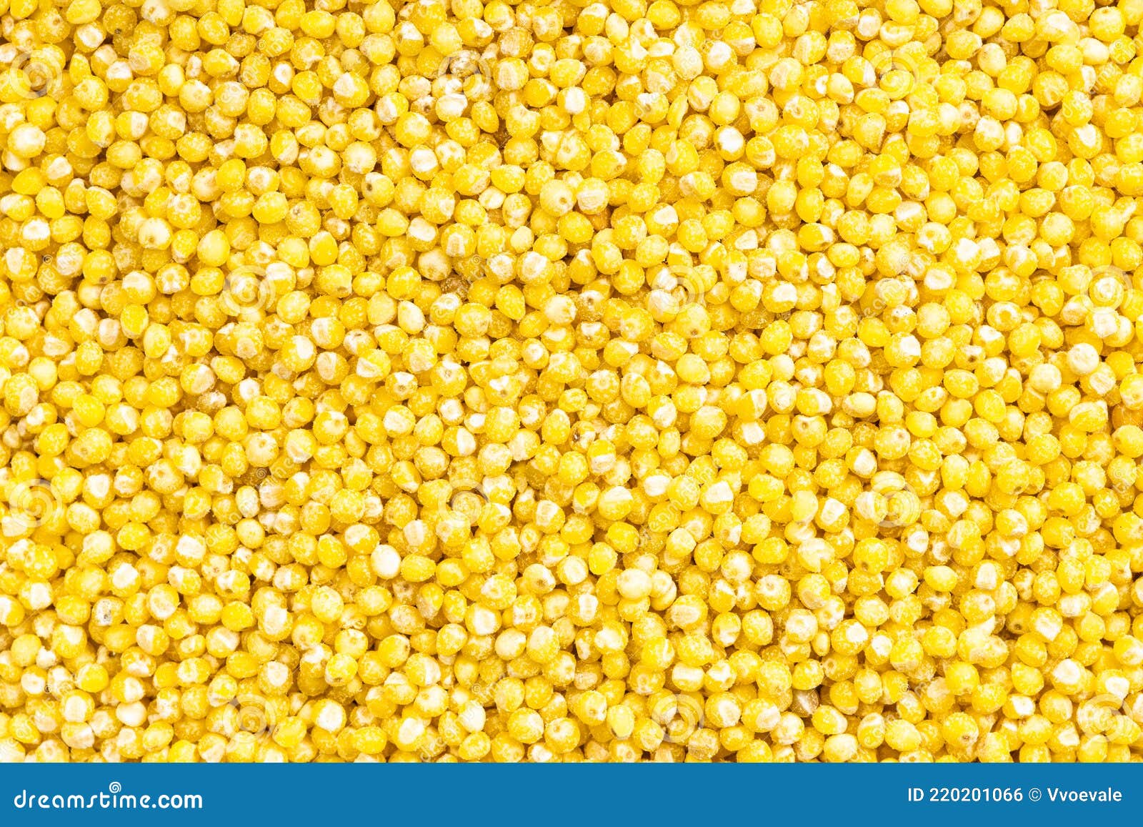Background - Uncooked Polished Proso Millet Grains Stock Photo - Image ...