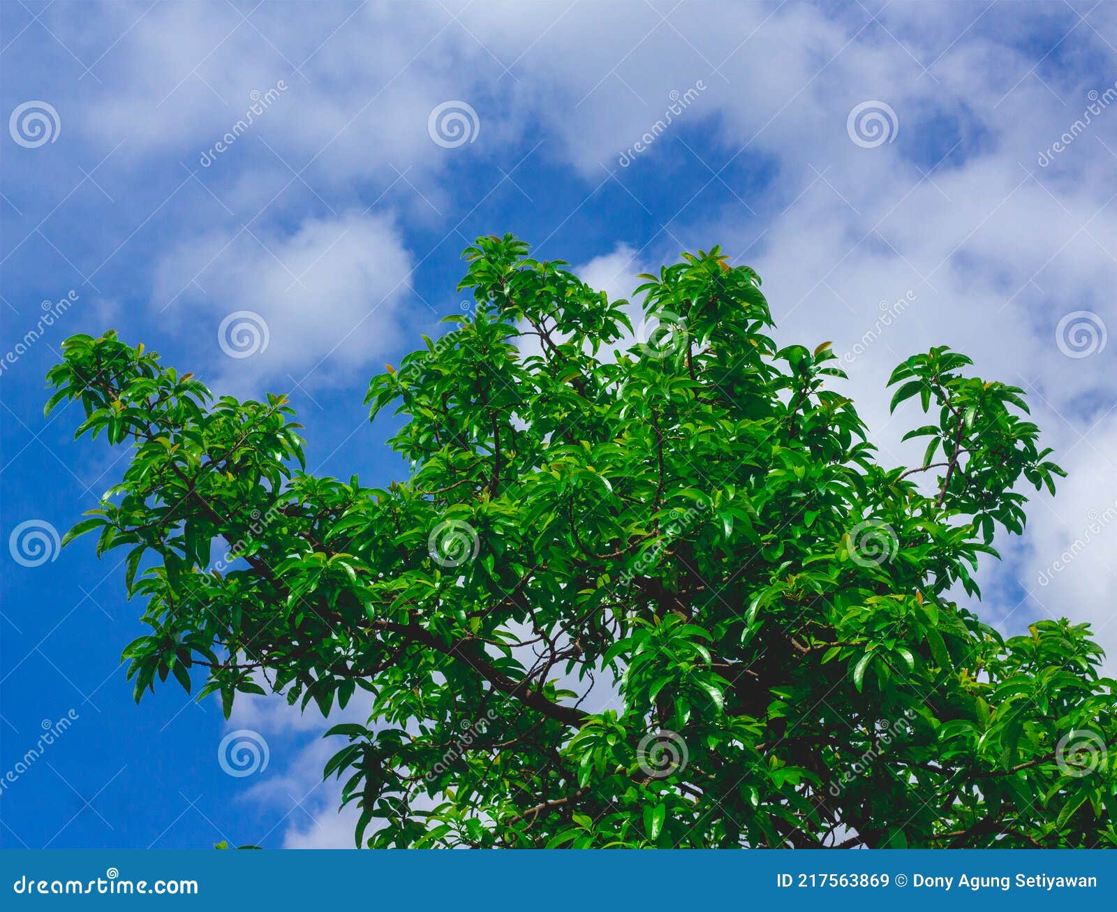 A Background with a Unique and Interesting Texture. Stock Image - Image ...