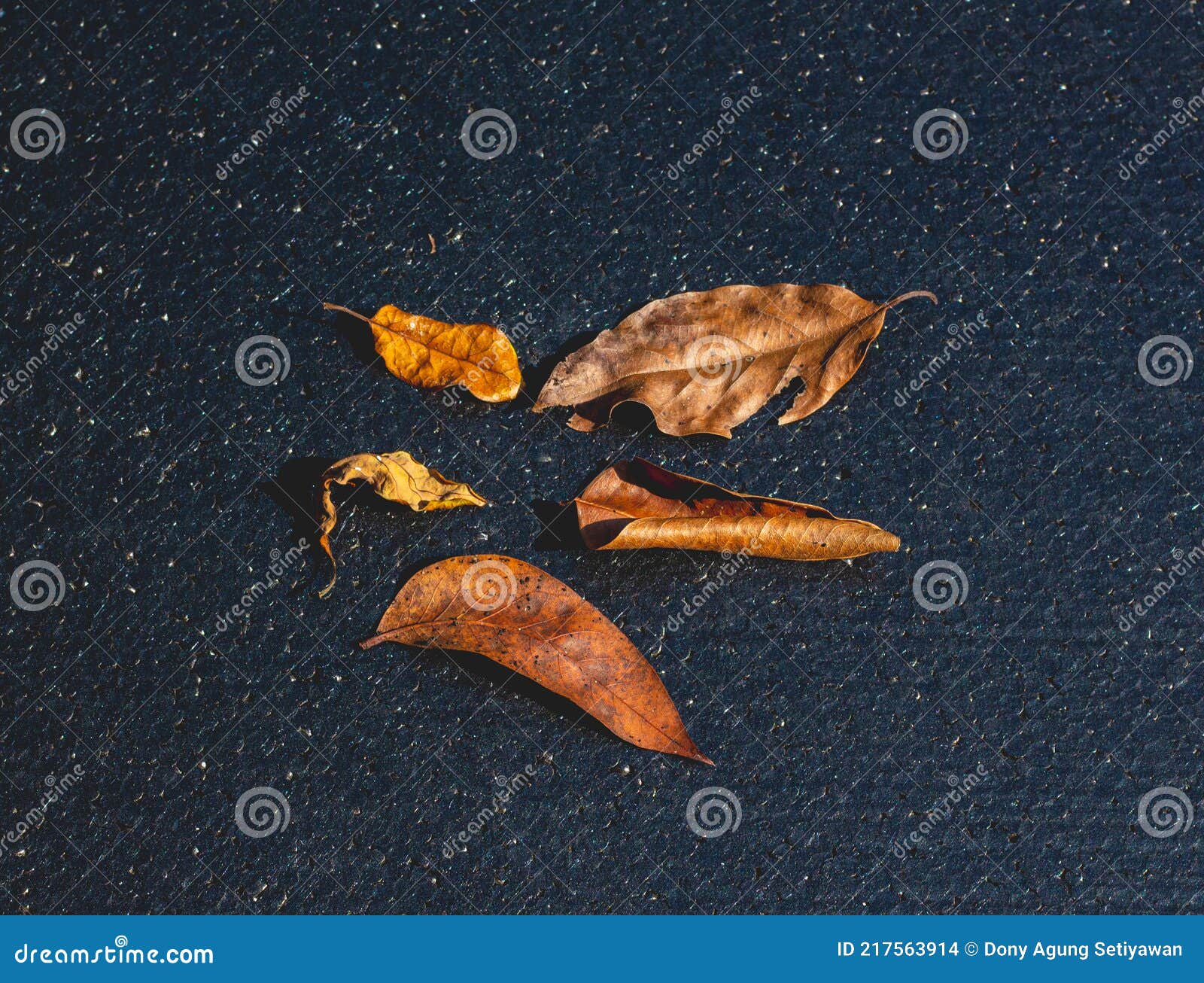 A Background with a Unique and Interesting Texture. Stock Photo - Image ...