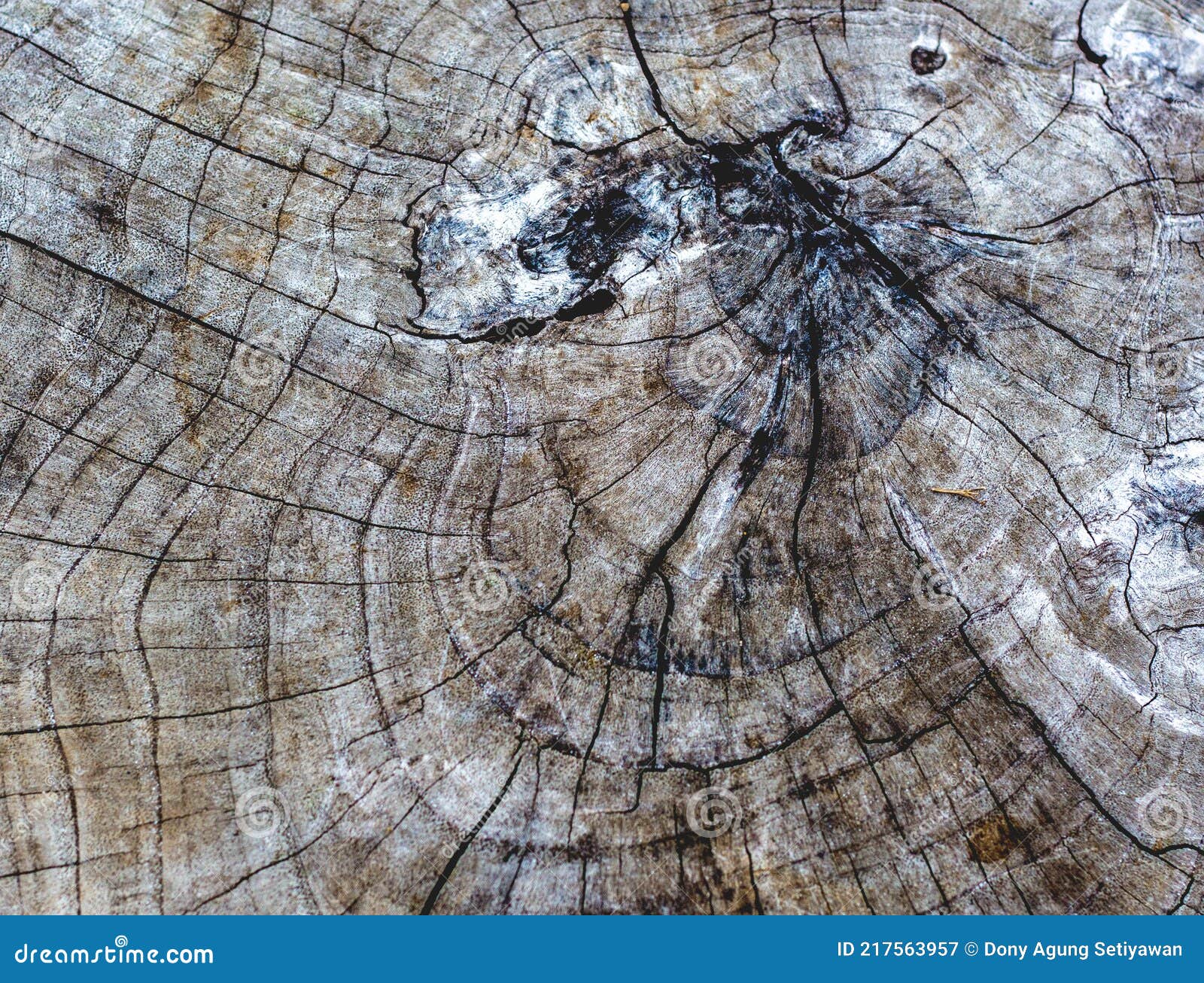 A Background with a Unique and Interesting Texture. Stock Image - Image ...