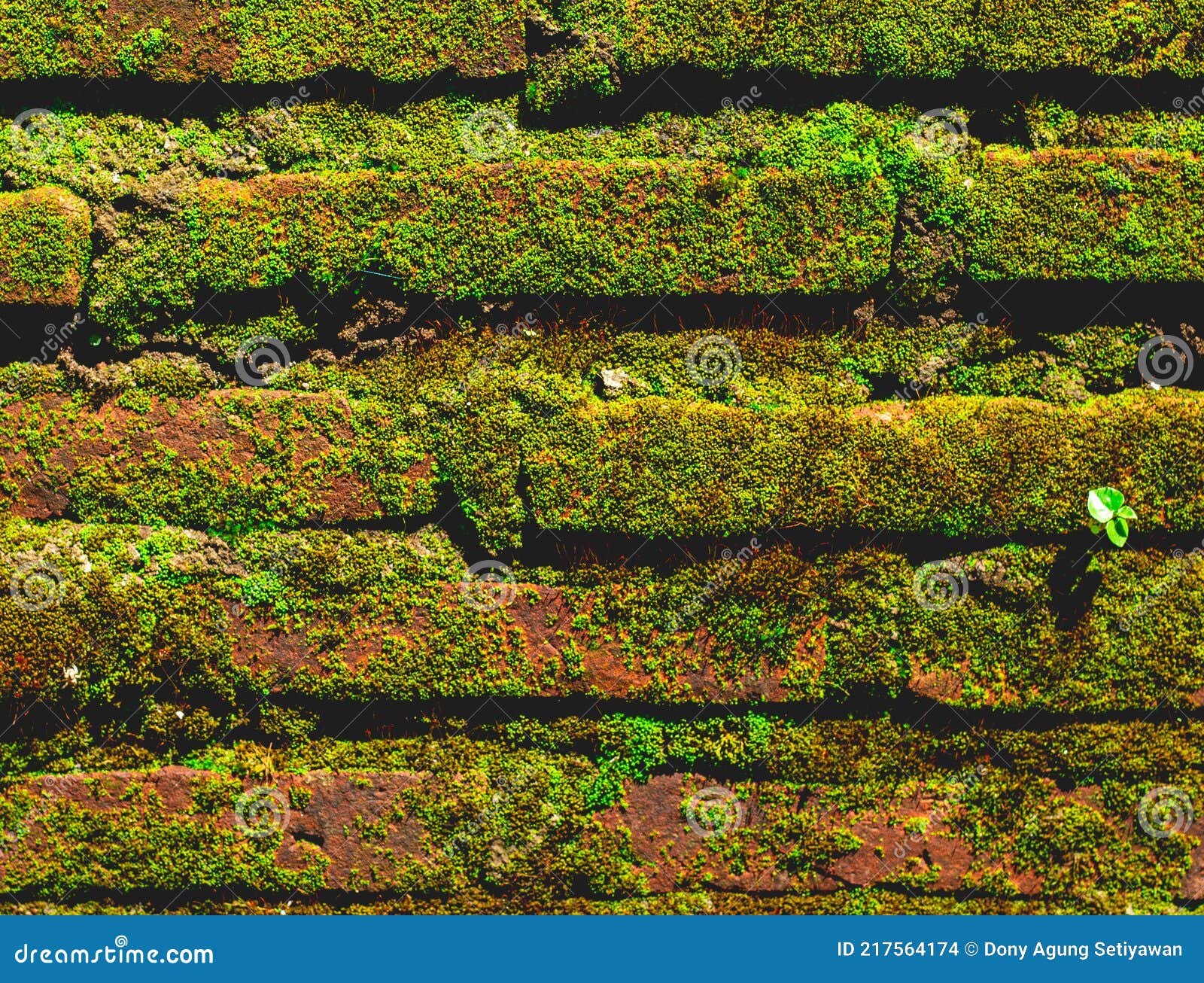 A Background with a Unique and Interesting Texture. Stock Photo - Image ...