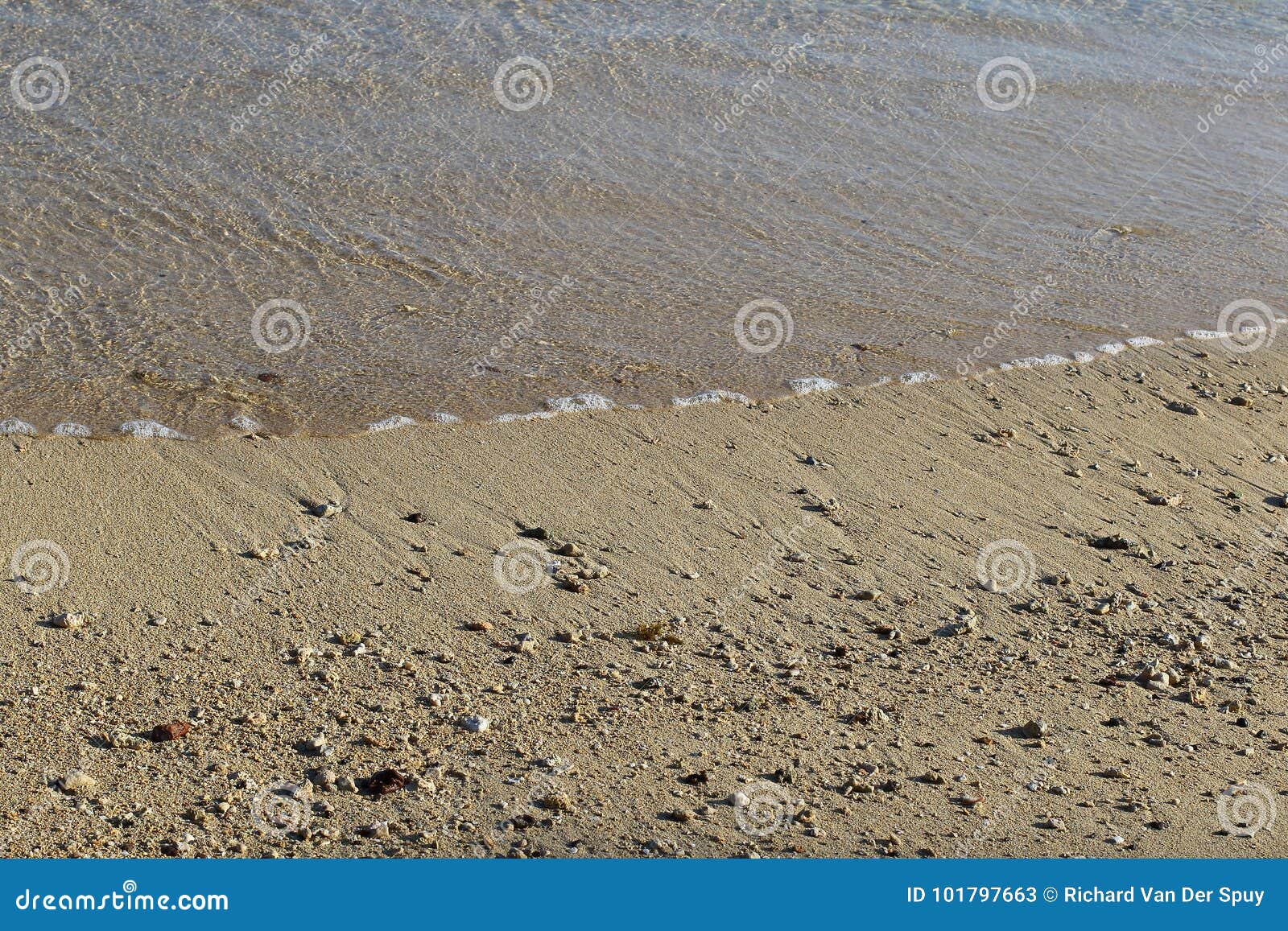 Background Use - High Tide Mark on a Sandy Beach Stock Image - Image of ...