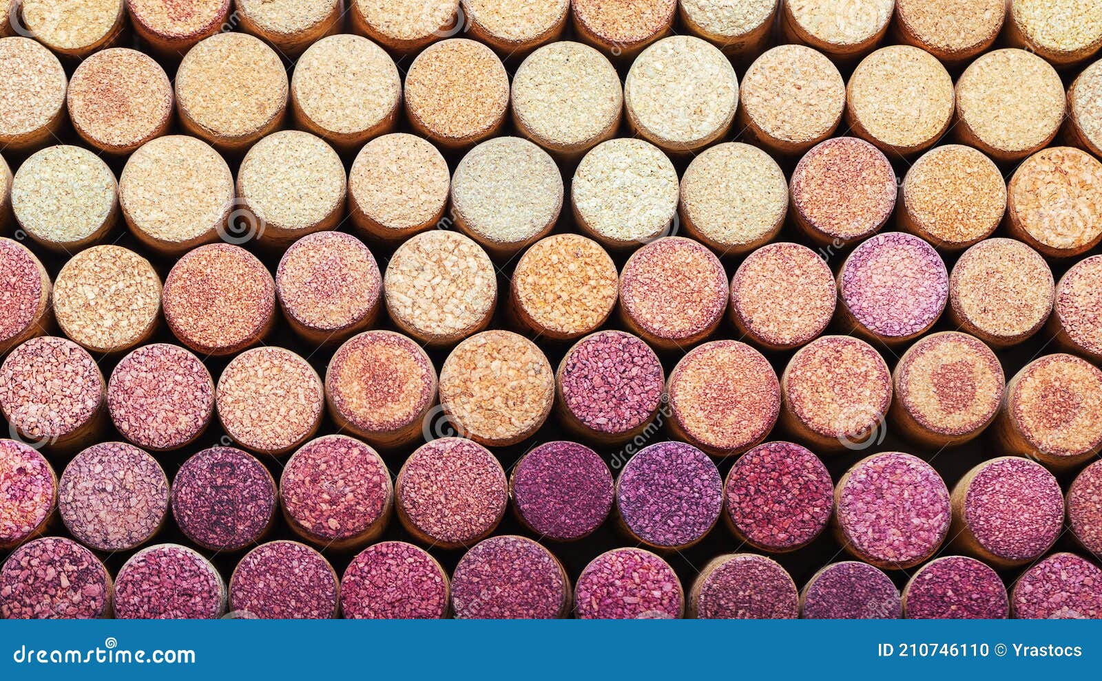 Background of Used Wine Corks. Wine Corks Arranged in Rows by Color ...